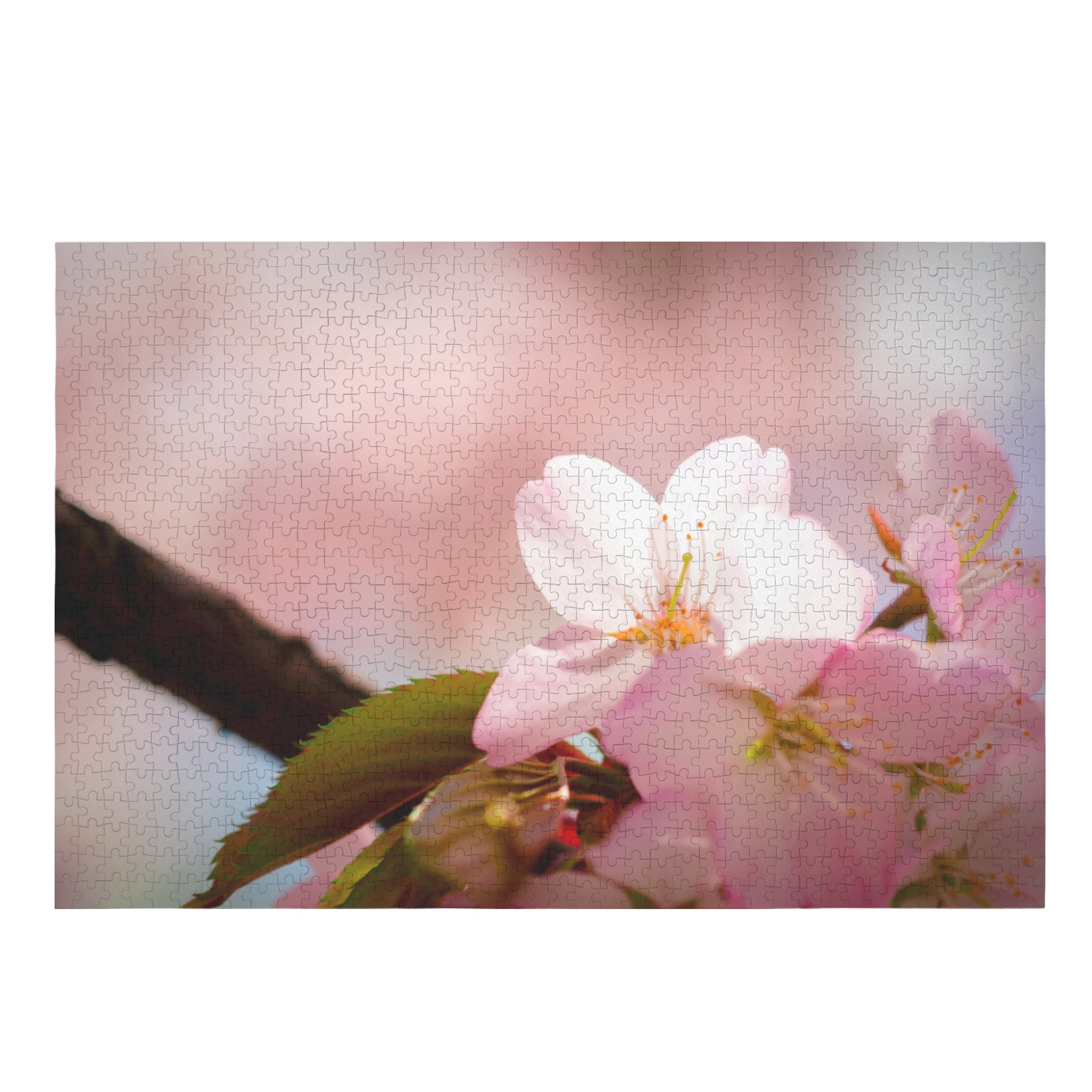 Sunlit petals of a small sakura cherry flower. 1000-Piece Wooden Jigsaw ...