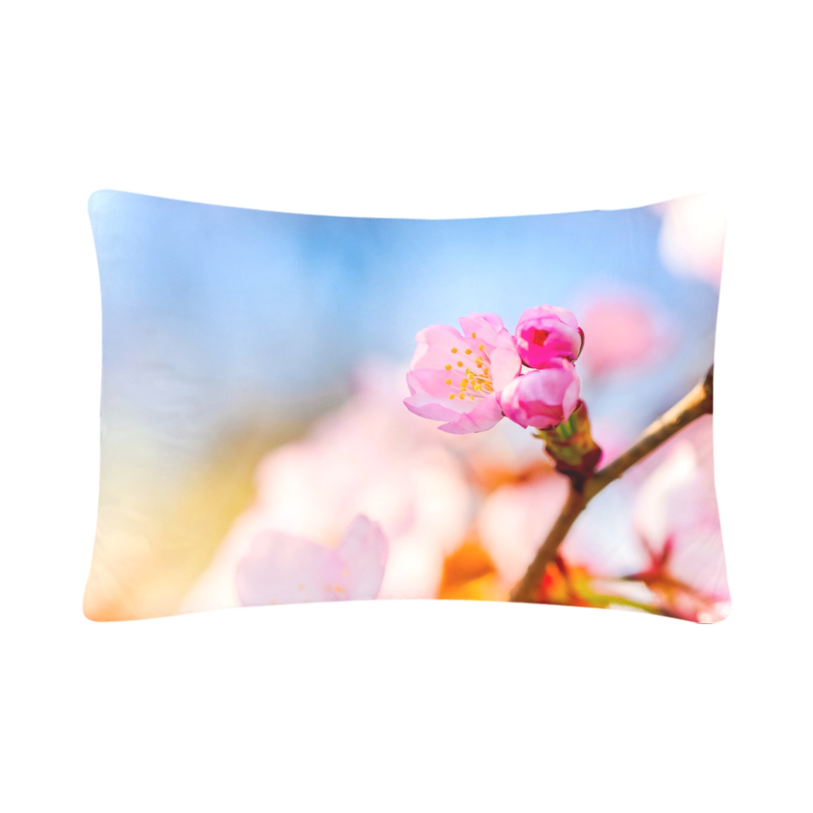 Sakura cherry flowers are ready to bloom. Custom Pillow Case 20"x 30 ...