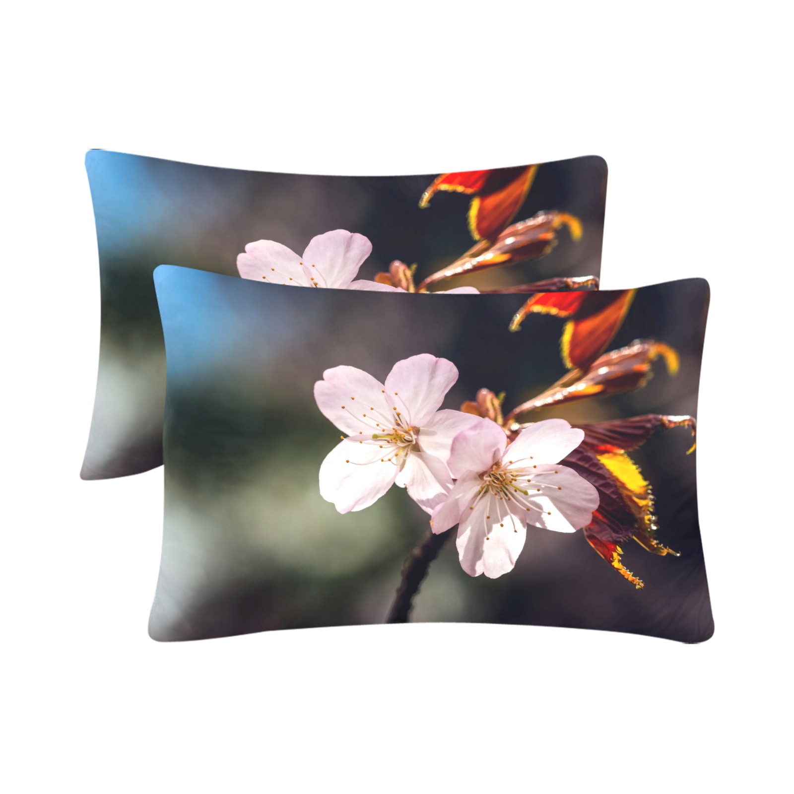 Two beautiful sakura Japanese cherry blossoms. Custom Pillow Case 20"x ...